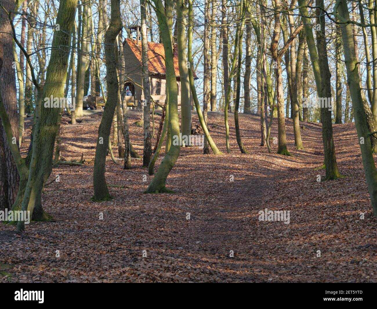 early spring time in the german westphalia Stock Photo - Alamy