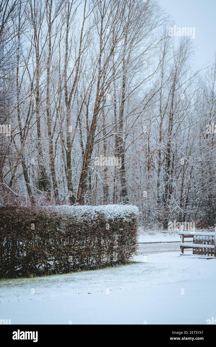 Wintery scene hi-res stock photography and images - Alamy