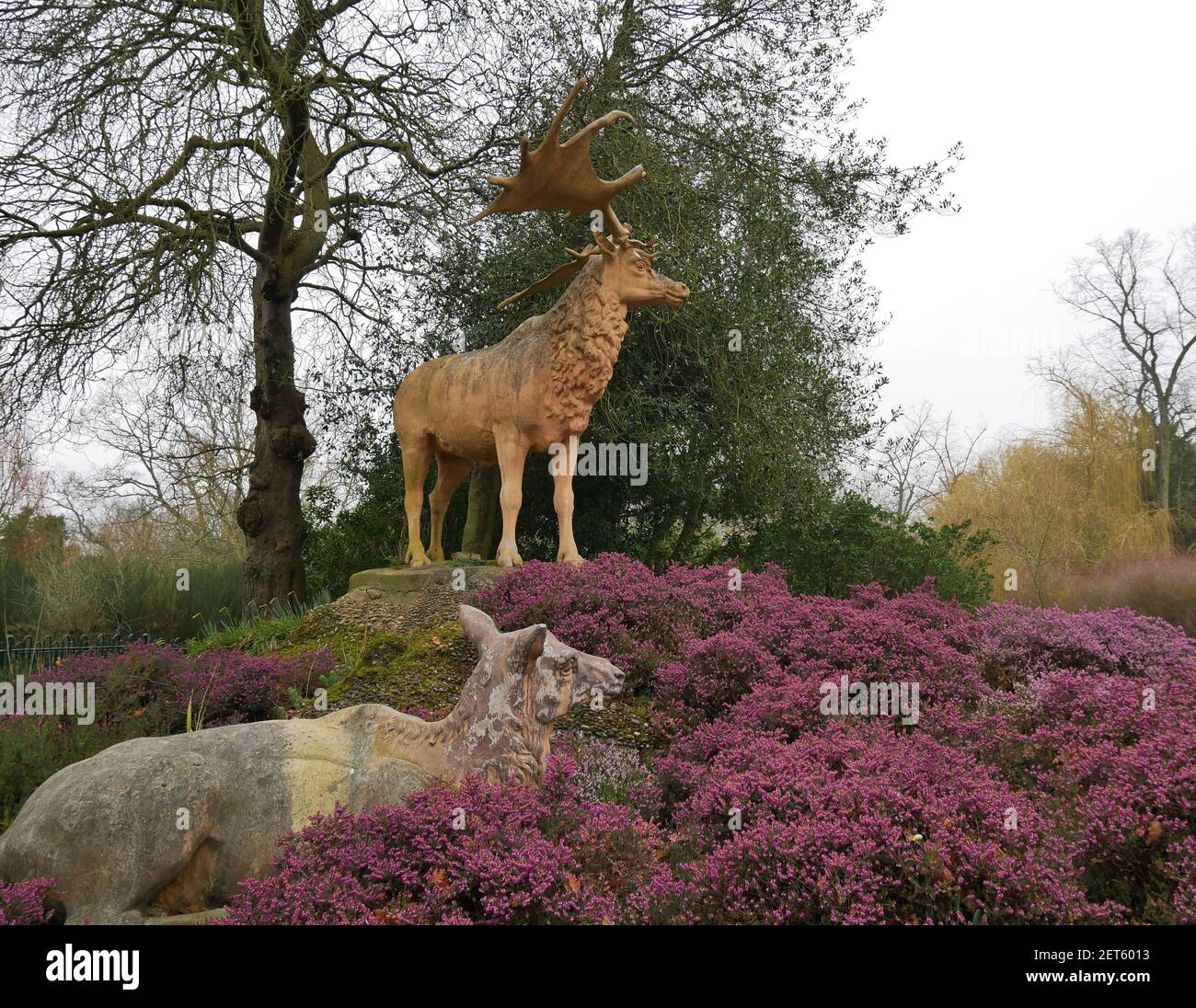 Megaloceros giganteus hi-res stock photography and images - Alamy