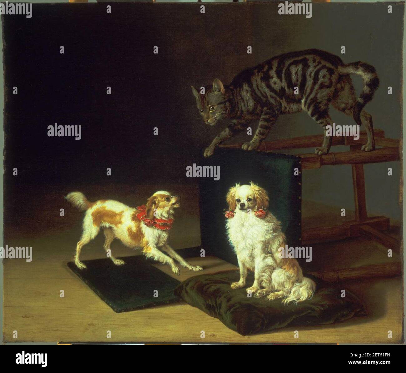 Paulus Potter - Cat Playing with Two Dogs Cat618 Stock Photo - Alamy