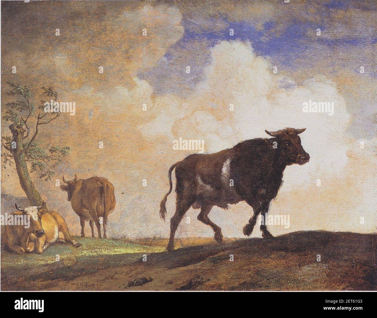 Der stier hi-res stock photography and images - Alamy