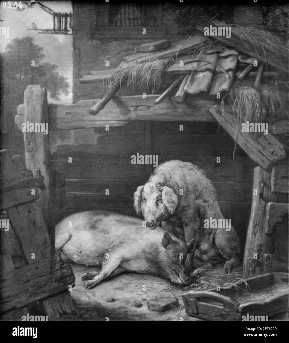 Sty with pig Black and White Stock Photos & Images - Alamy