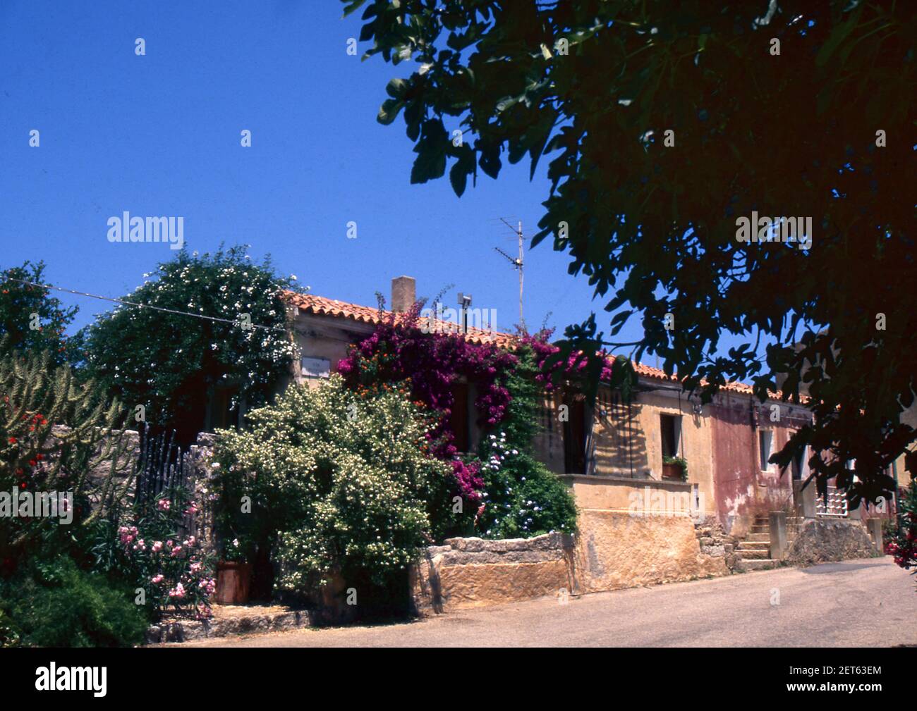 San Pantaleo, Costa Smeralda, Sardinia, Italy (scanned from colorslide ...