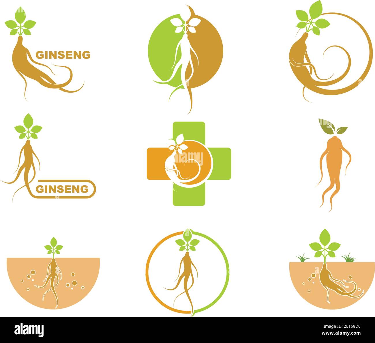 Ginseng illustration Cut Out Stock Images & Pictures - Alamy