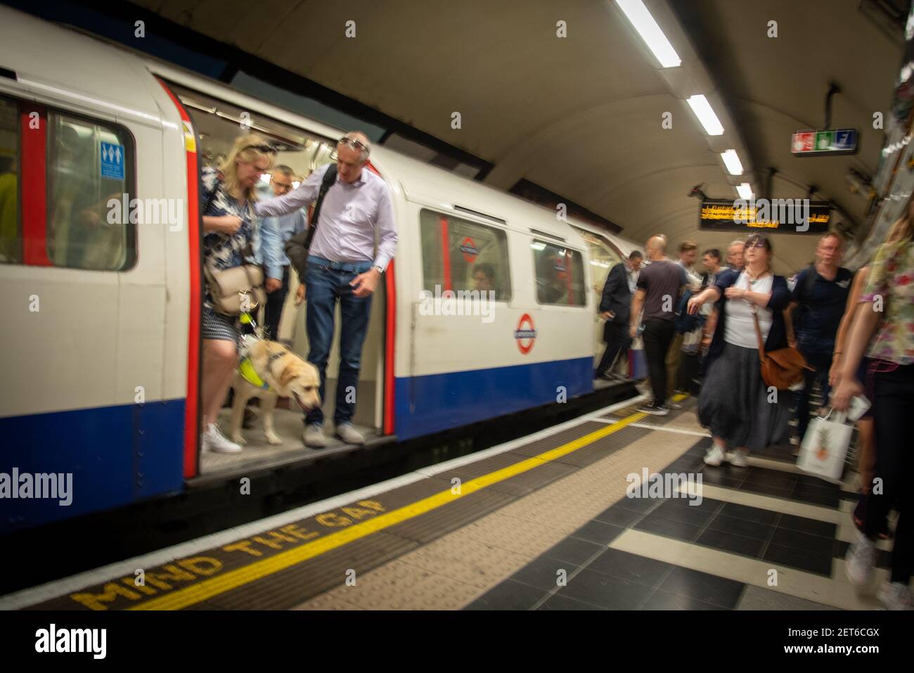 Random passengers exiting the train, underground tube station in london ...