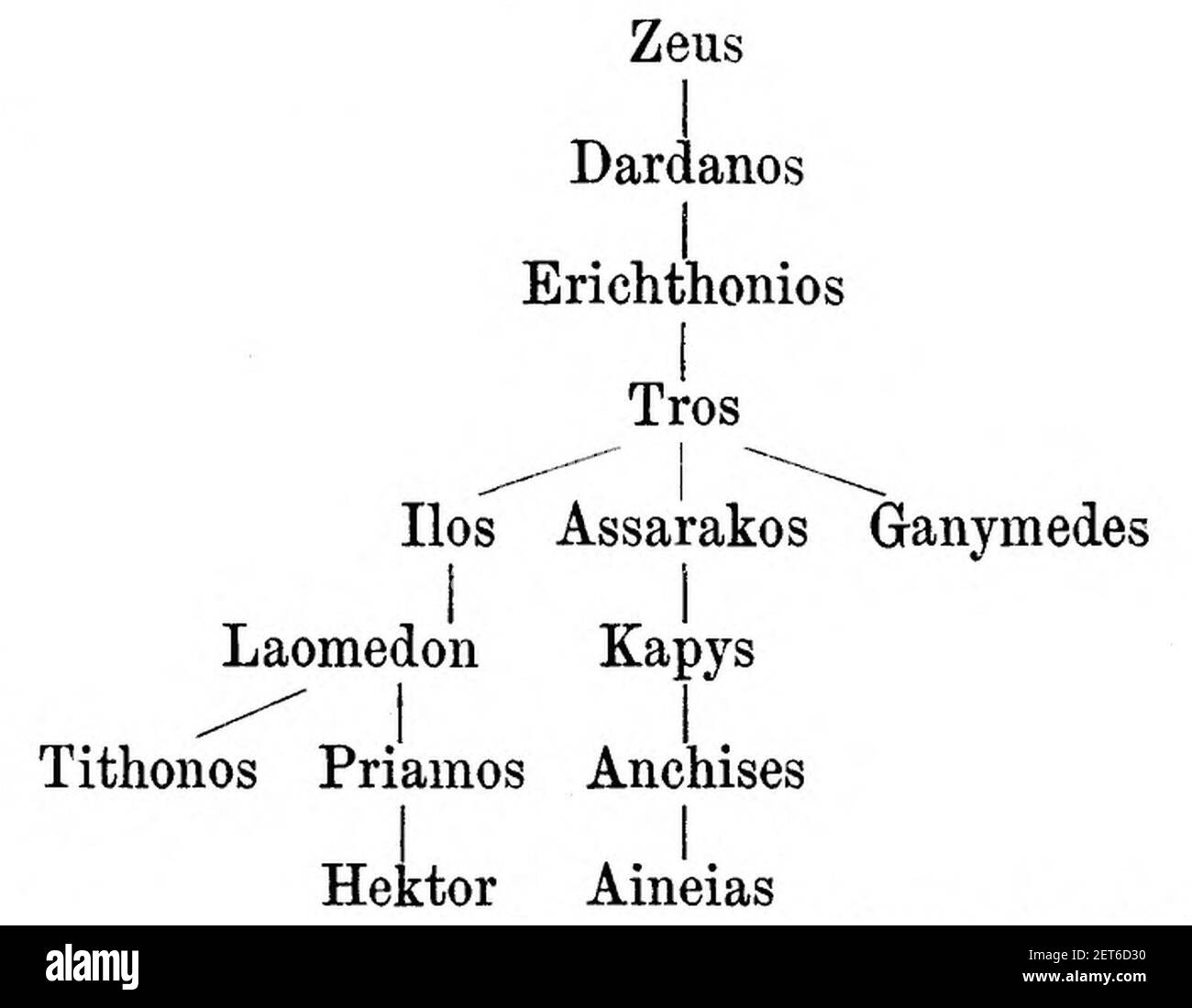 Pauly-Wissowa I,1, 1010a - family tree Aineias 2 Stock Photo - Alamy