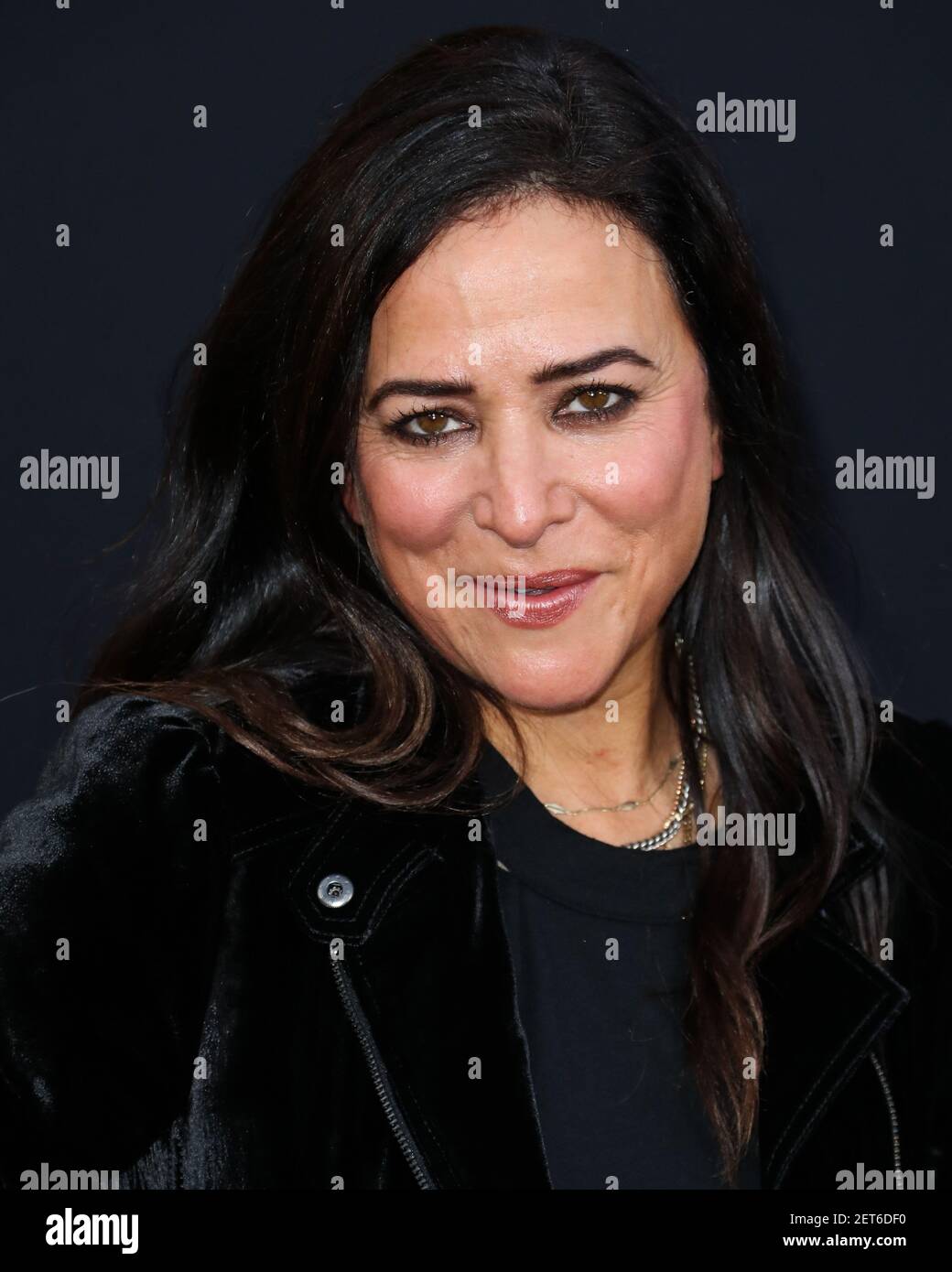 HOLLYWOOD, LOS ANGELES, CA, USA - DECEMBER 09: Actress Pamela Adlon ...