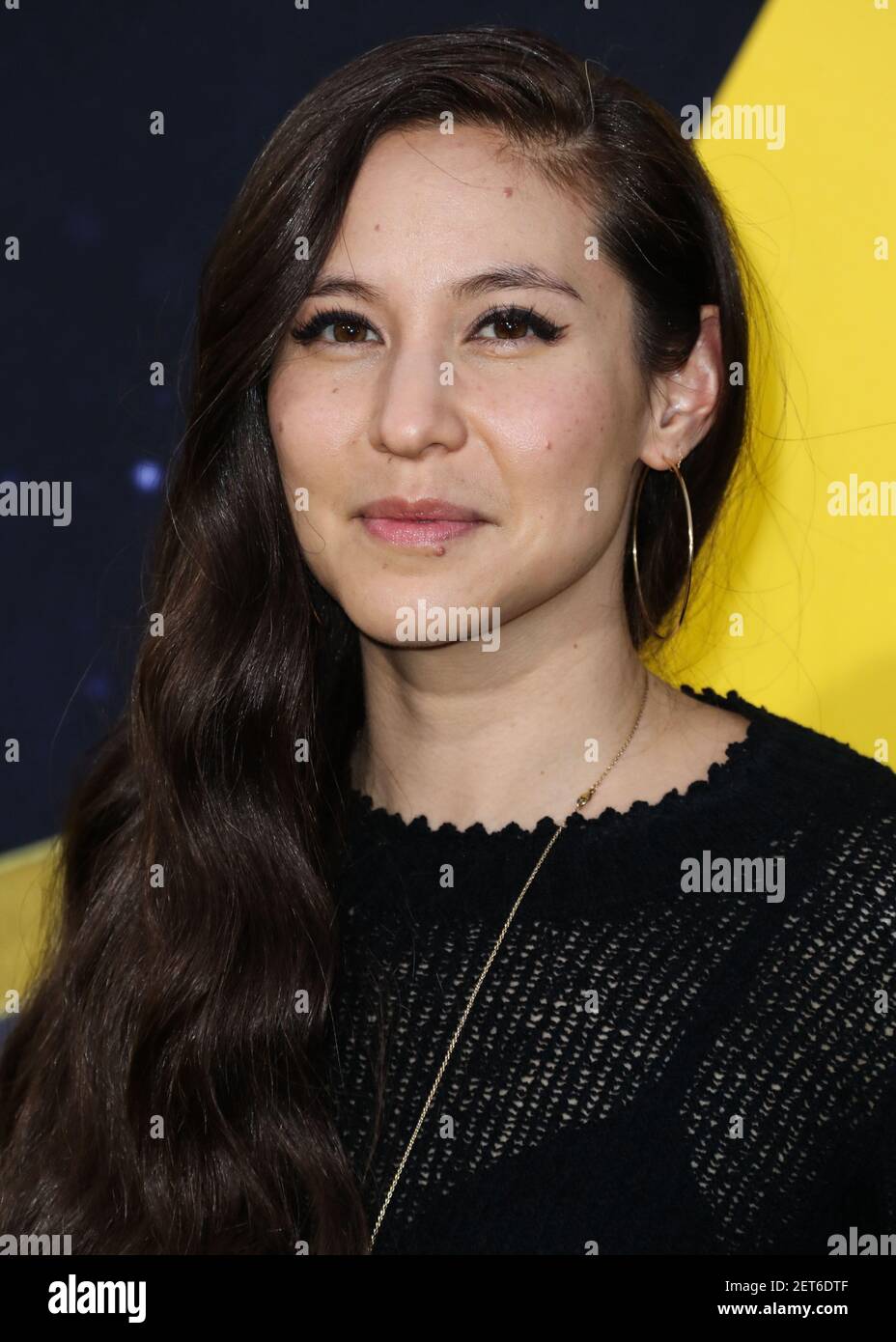 HOLLYWOOD, LOS ANGELES, CA, USA - DECEMBER 09: Screenwriter Christina ...