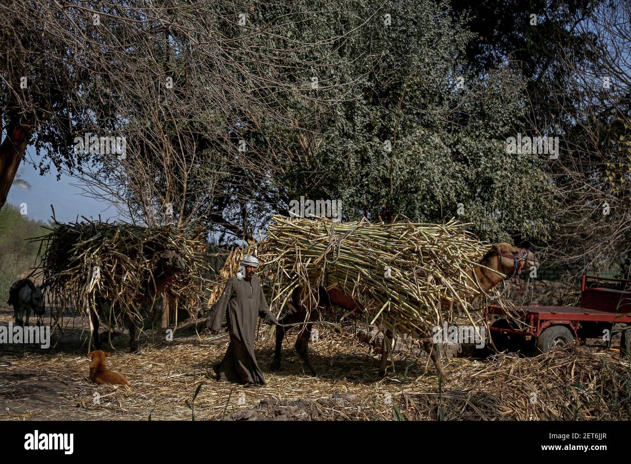 Mallawi Egypt High Resolution Stock Photography and Images - Alamy