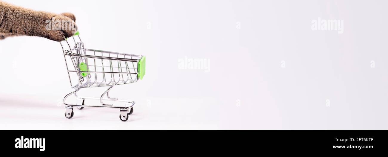 Cat paws pushing empty shopping cart on white background, shopping ...