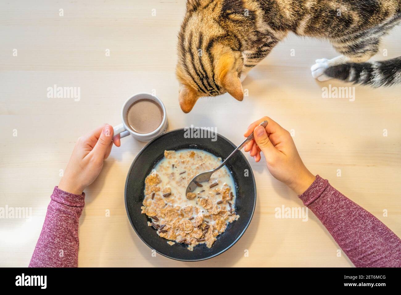 A female having her oatmeal breakfast with a cup of coffee and her cat ...