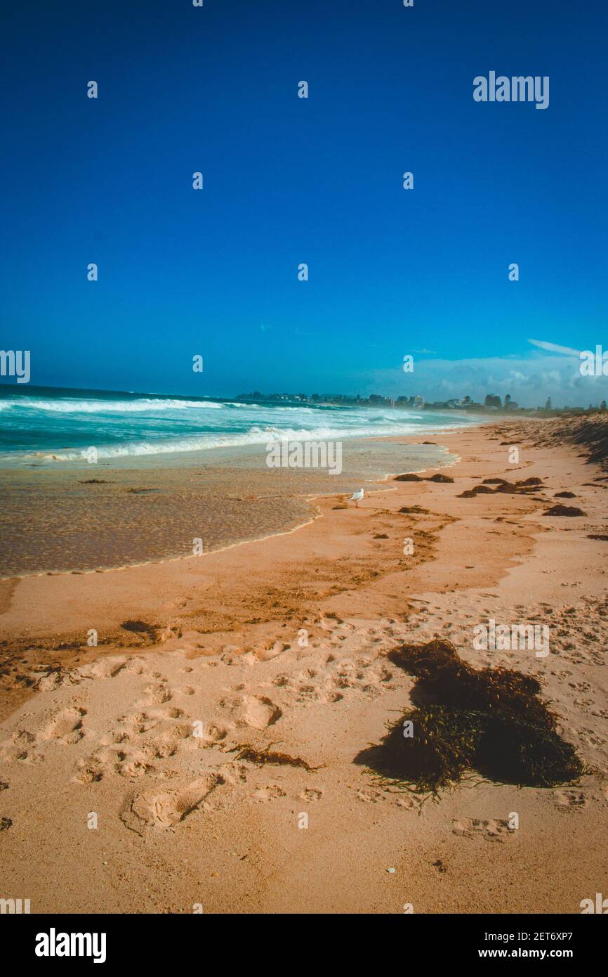 A vertical shot of the sandy beach captured on a sunny day Stock Photo ...