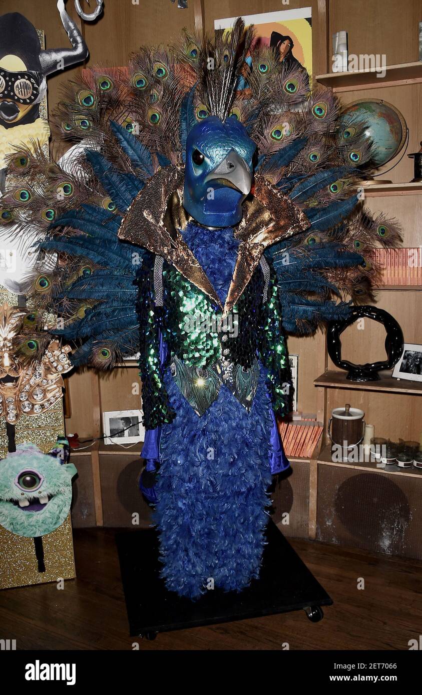 WEST HOLLYWOOD, CA - DECEMBER 13: The peacock costume behind the scenes ...