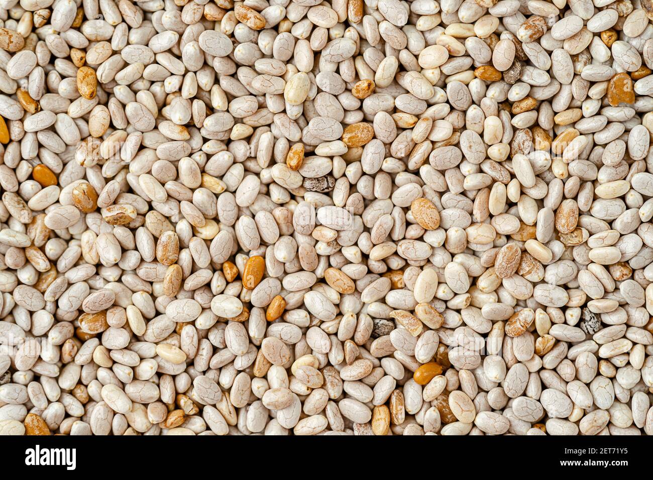 Macro shot of white chia seed background or texture. Top view Stock ...