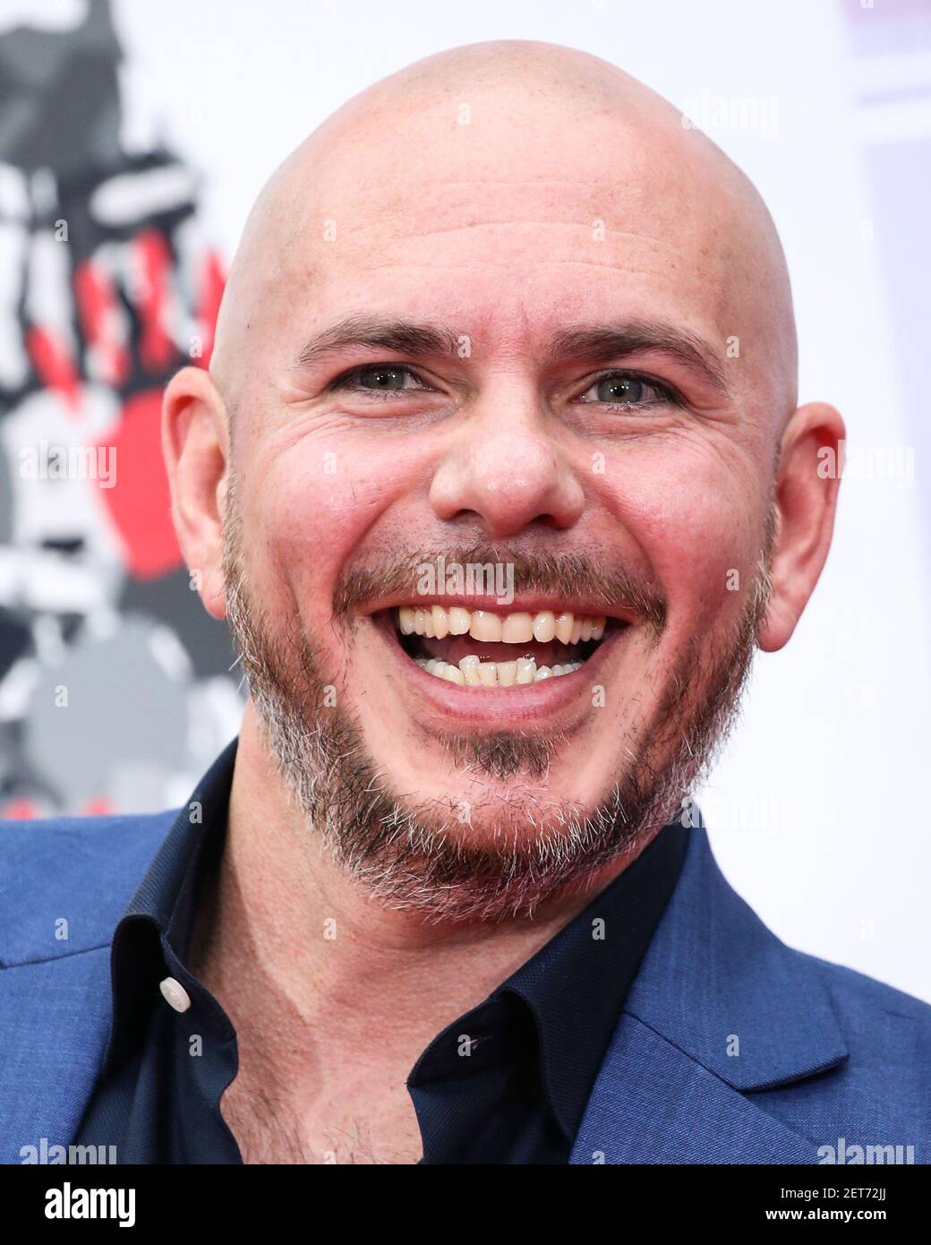 HOLLYWOOD, LOS ANGELES, CA, USA - DECEMBER 14: Musician Pitbull ...