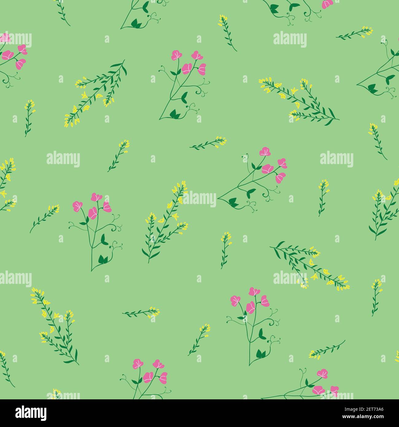 Gorse botanical illustration hi-res stock photography and images - Alamy