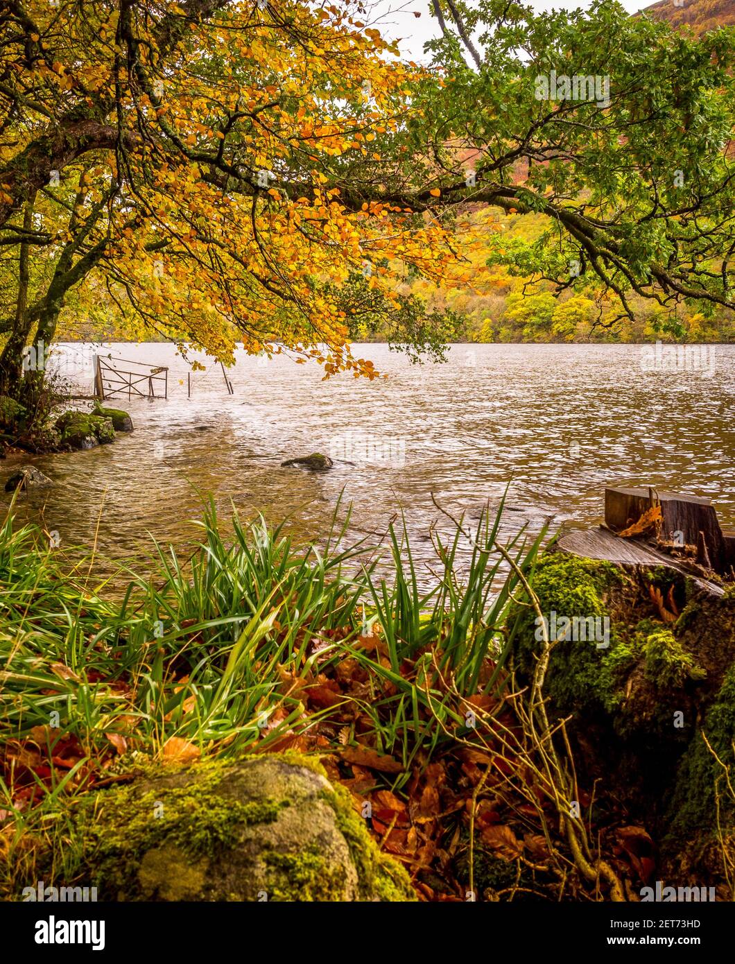 Loch laggan hi-res stock photography and images - Alamy
