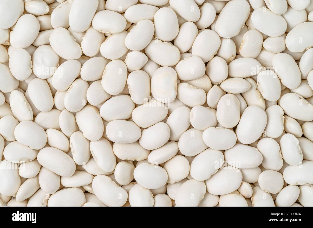 White haricot beans background. Top view, overhead Stock Photo - Alamy