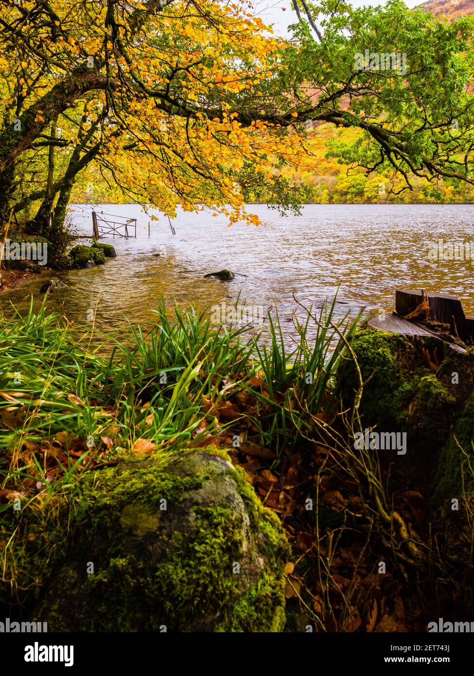 Loch laggan hi-res stock photography and images - Alamy