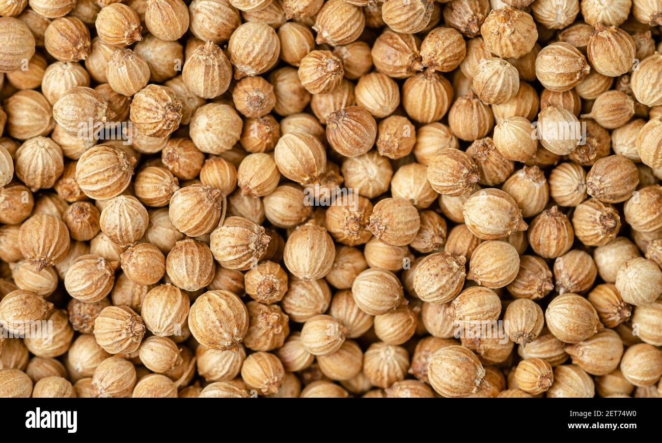 Macro shot of coriander seeds background. Top view, overhead Stock Photo - Alamy