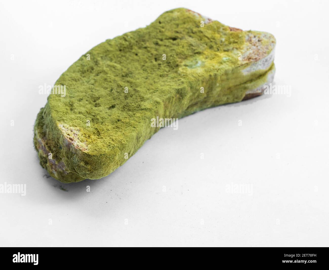 A piece of bread covered with green mold on a white background isolate ...