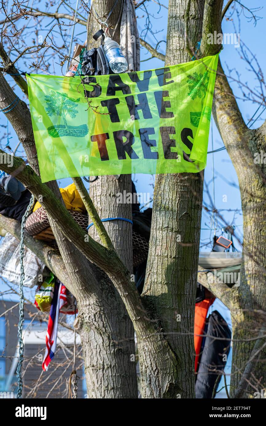 York gardens tree poplar hi-res stock photography and images - Alamy