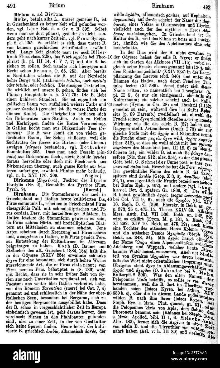 Pauly-Wissowa III,1, 0491 Stock Photo - Alamy