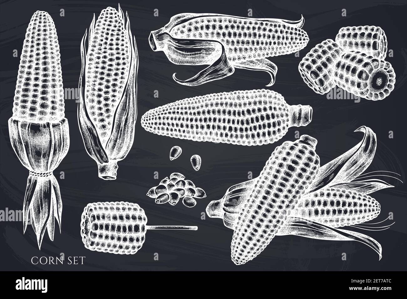 Vector set of hand drawn chalk corn Stock Vector Image & Art - Alamy