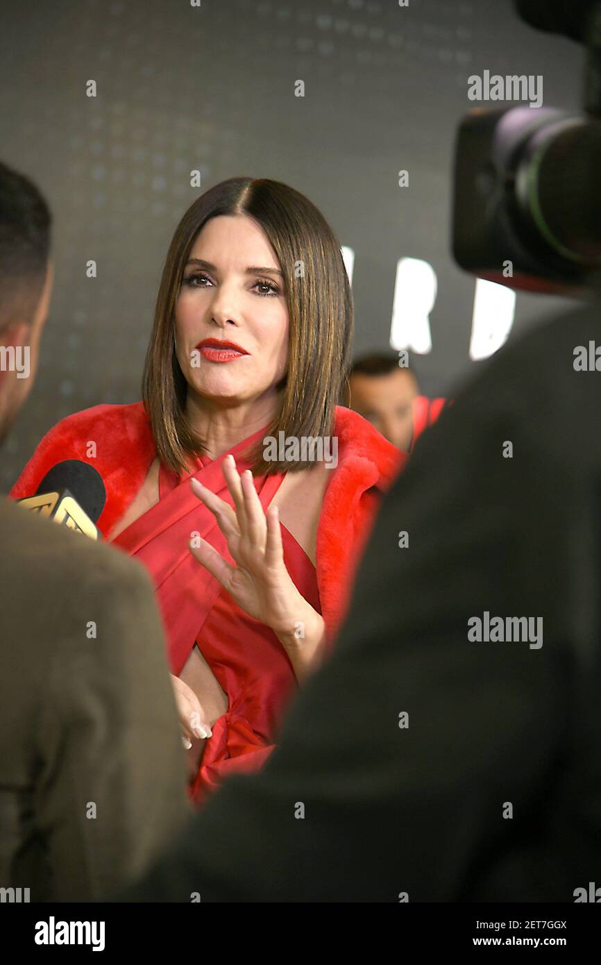 actor Sandra Bullock attends the NETFLIX screening fo "Bird Box" New ...