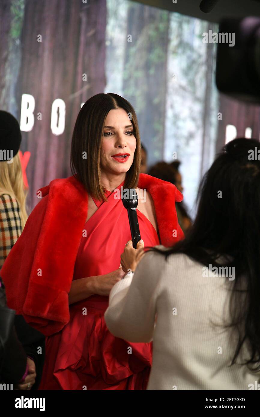 actor Sandra Bullock attends the NETFLIX screening fo "Bird Box" New ...