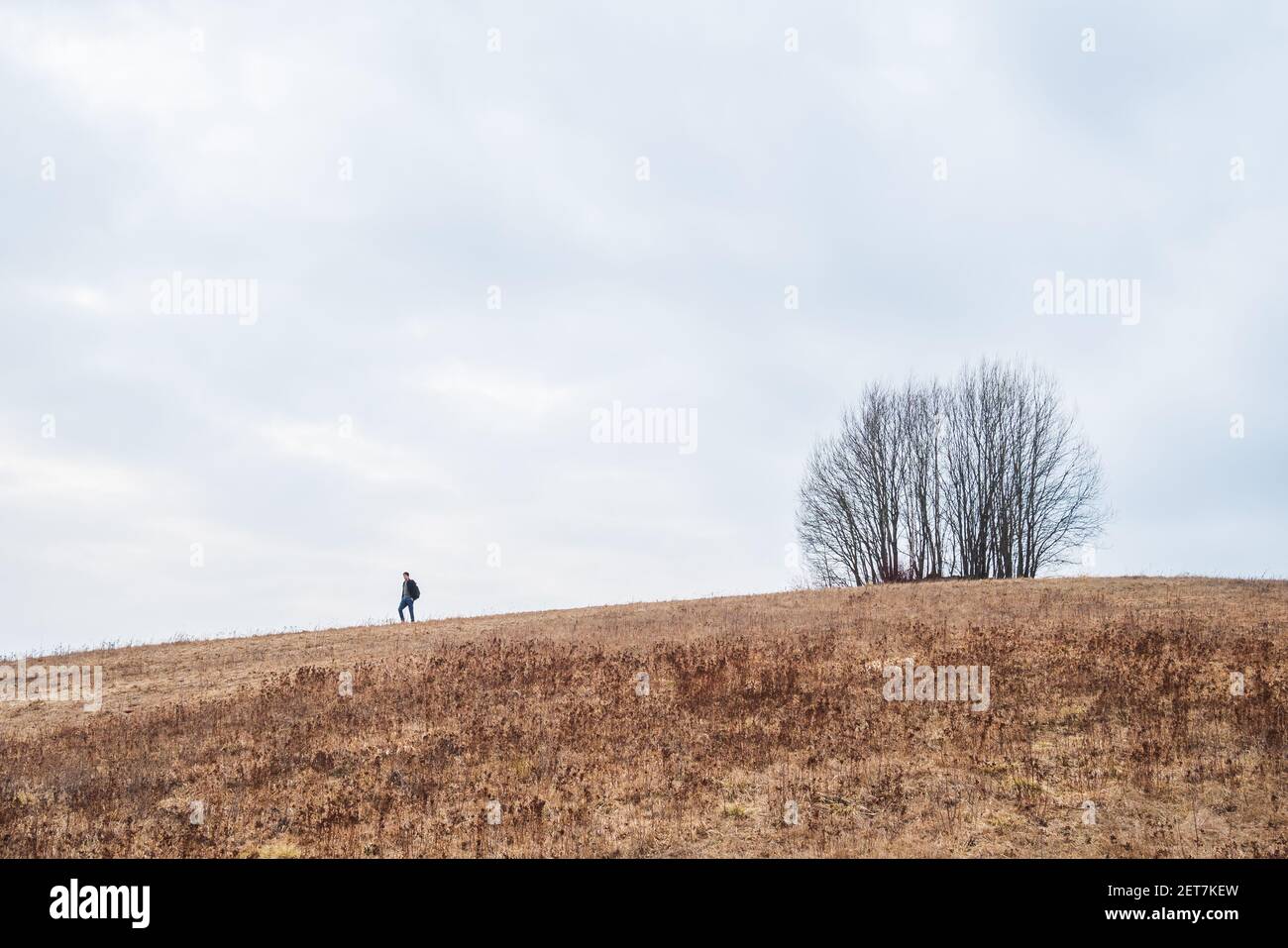 A lonely man stands on a mountain, a lonely tree Stock Photo - Alamy