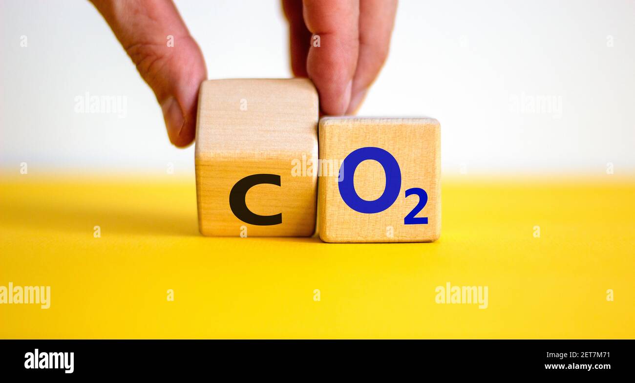 CO2 or O2 symbol. Businessman turns the wooden cube and changes words ...