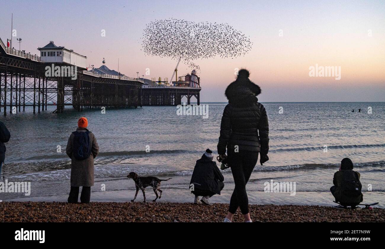 Brighton UK 1st March 2021 - People gather on Brighton seafront by the ...