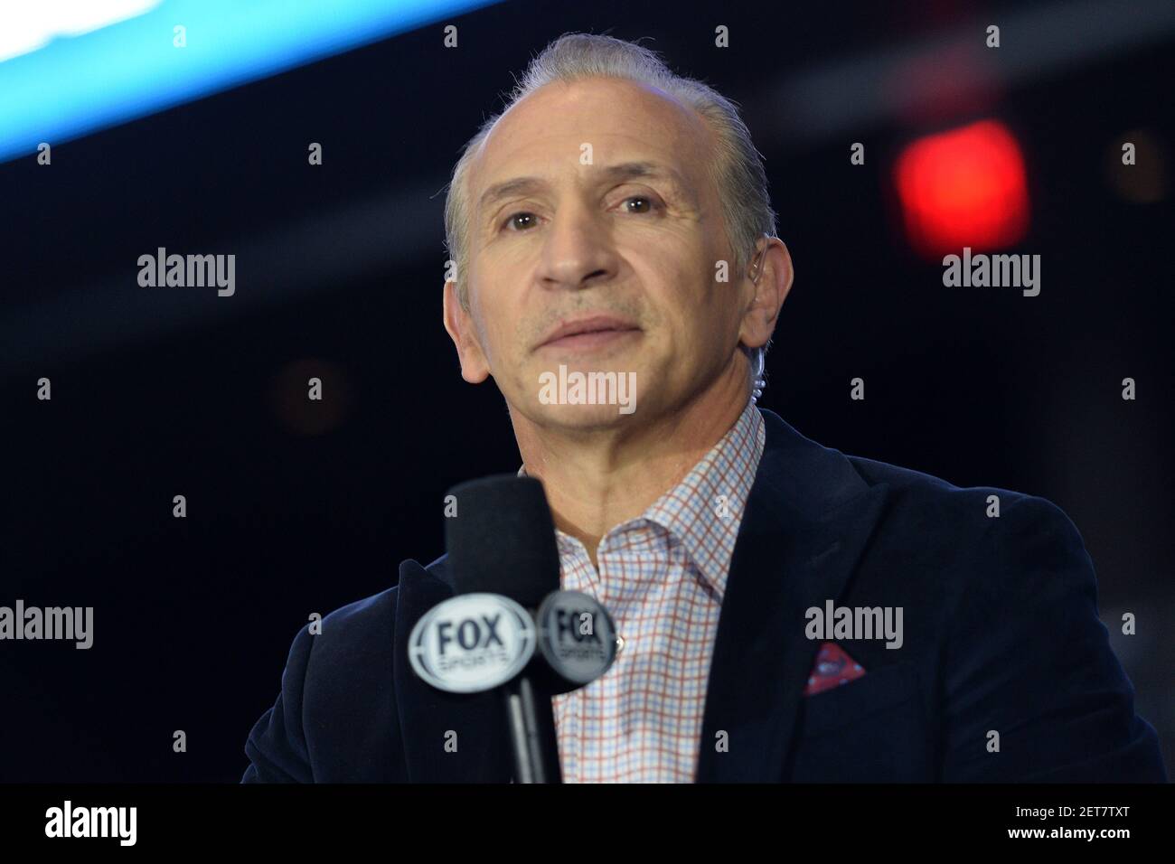 BROOKLYN, NY - DECEMBER 20: Professional boxer and boxing commentator ...