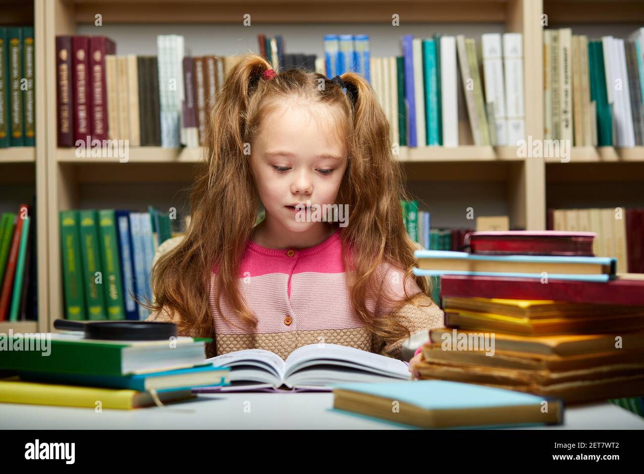 preschooler little girl reading a book in the library,little caucasian ...