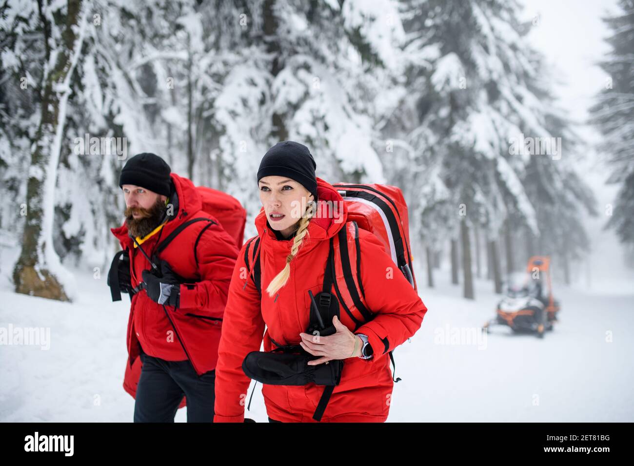 Walking in the forest with first snow hi-res stock photography and ...