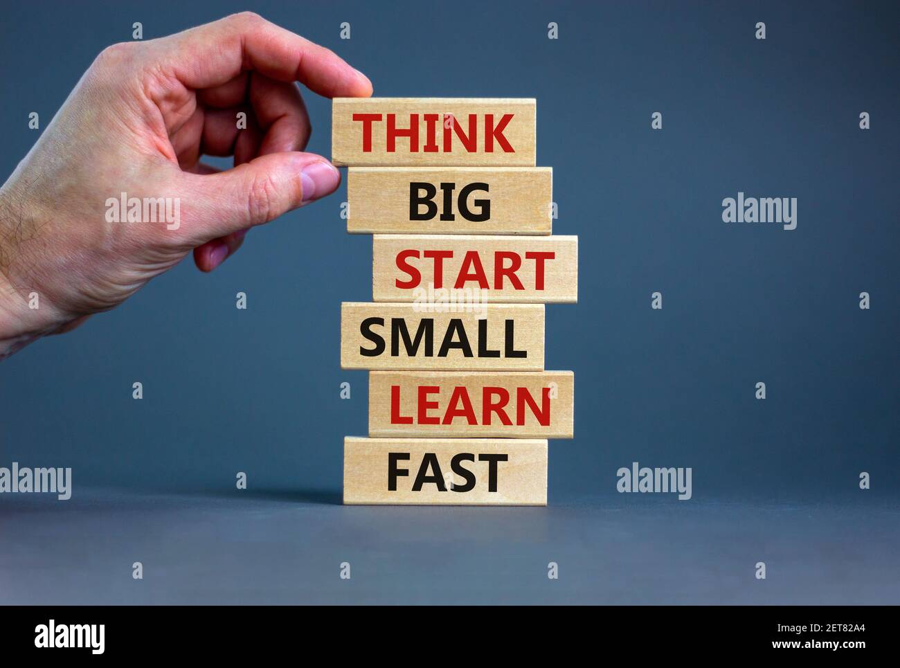 Think big start small symbol. Words 'Think big start small learn fast ...