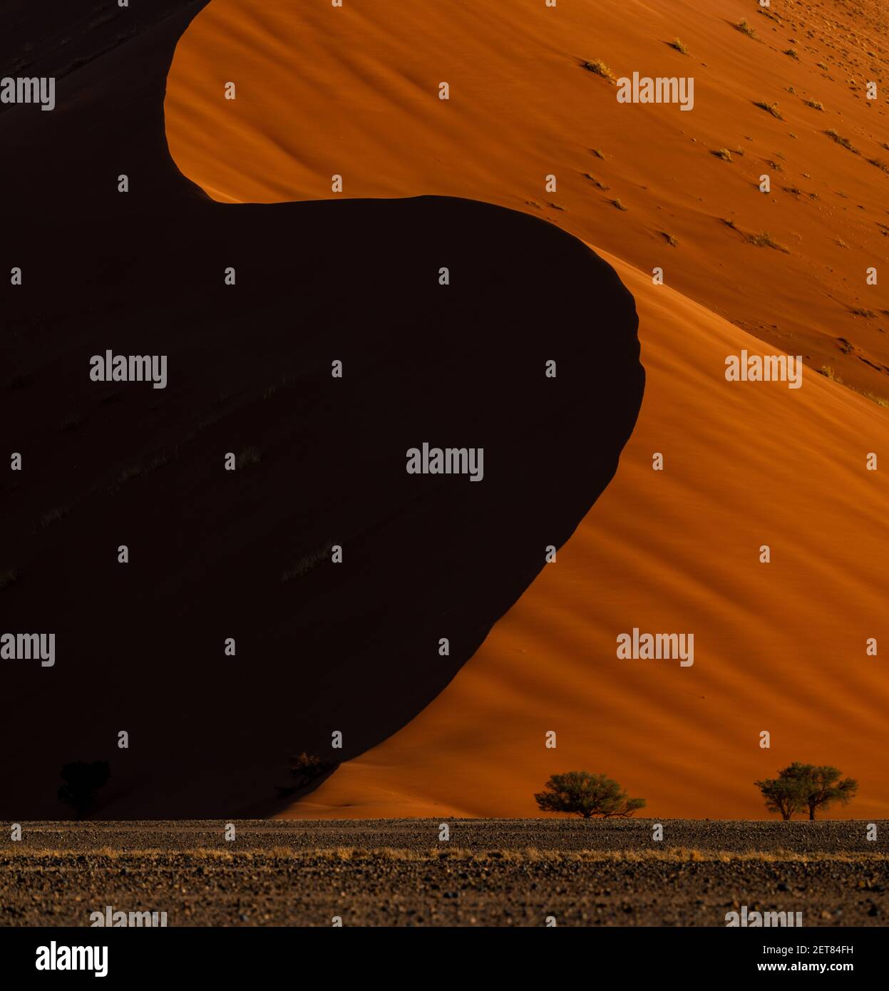 The red dunes of sossusvlei national park in namibia Stock Photo - Alamy