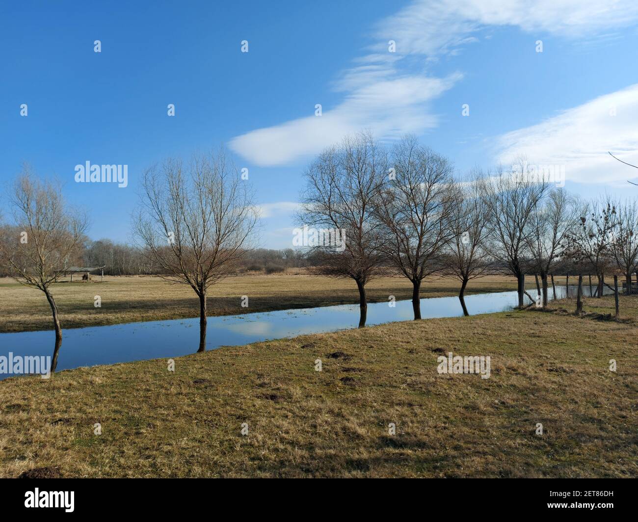 A mesmerizing view of a calm lake surrounded by trees and fields Stock ...