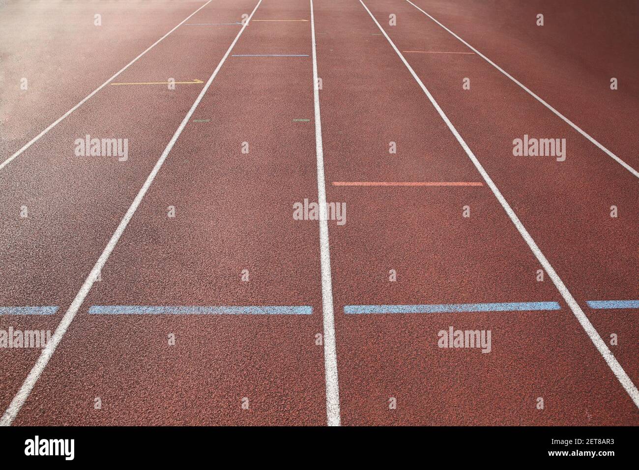 Finish lines - sign on the running track Stock Photo - Alamy