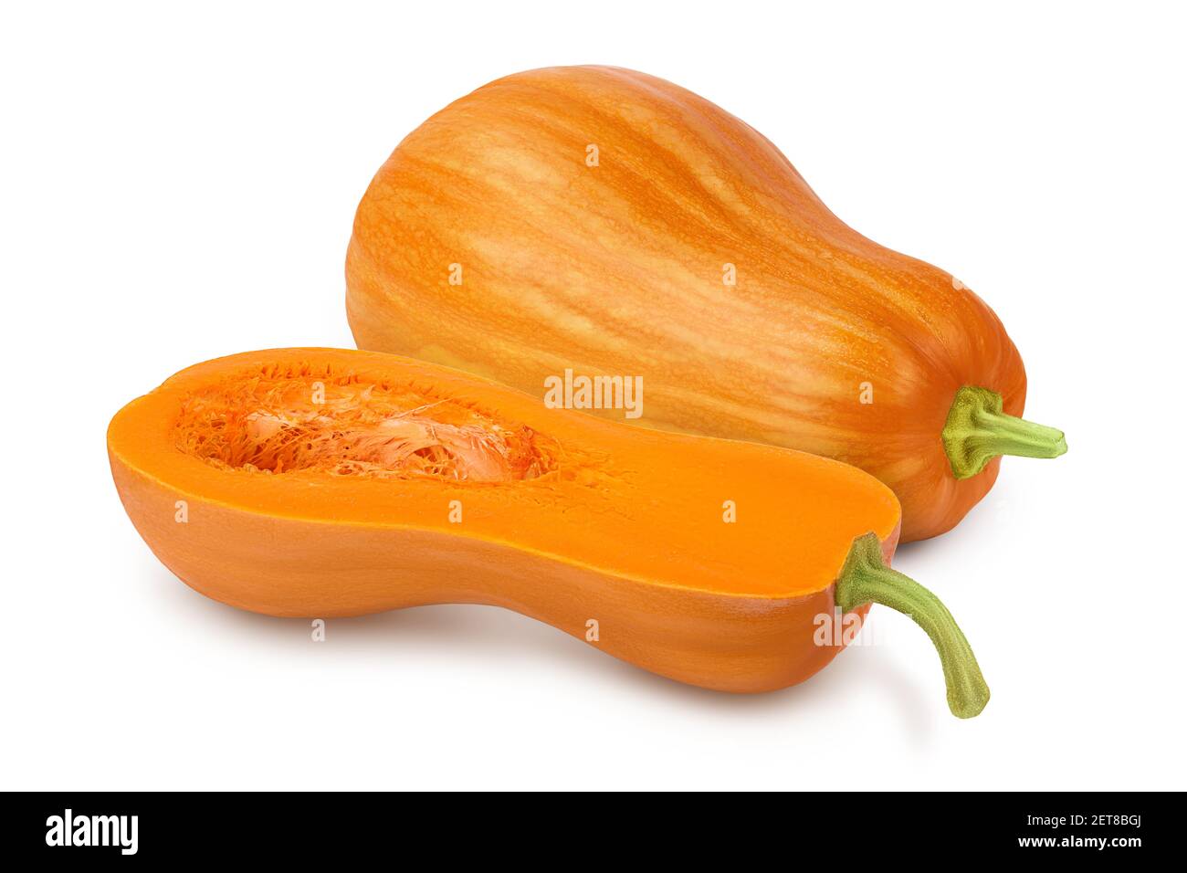 butternut squash half isolated on white background with clipping path ...