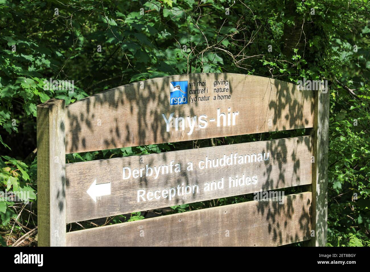 Ynyshir hi-res stock photography and images - Alamy