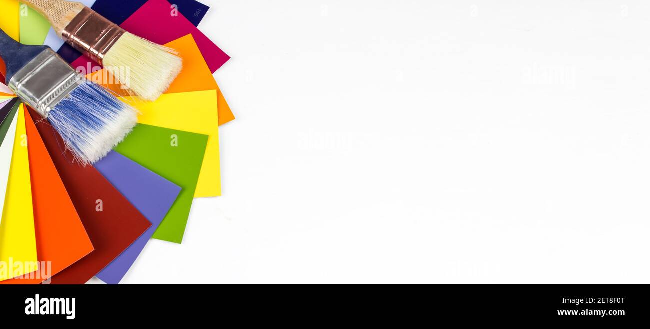 Brushes and color sample on white background Stock Photo - Alamy