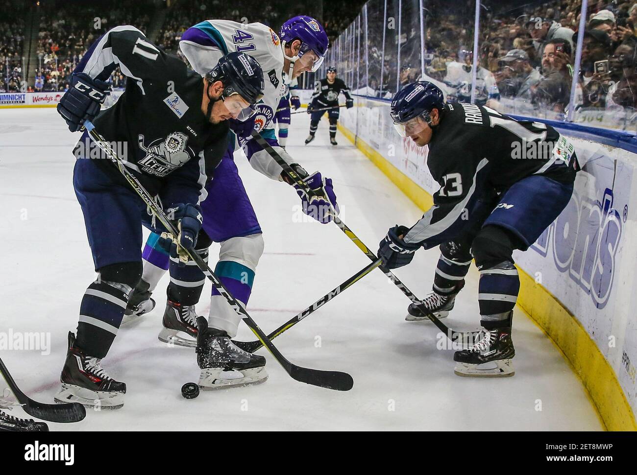 Jacksonville Icemen forward Kris Newbury (11) and forward Jake Randolph ...