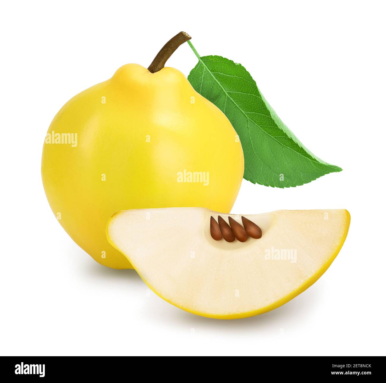 Fresh cut quince isolated on the white background with clipping path ...