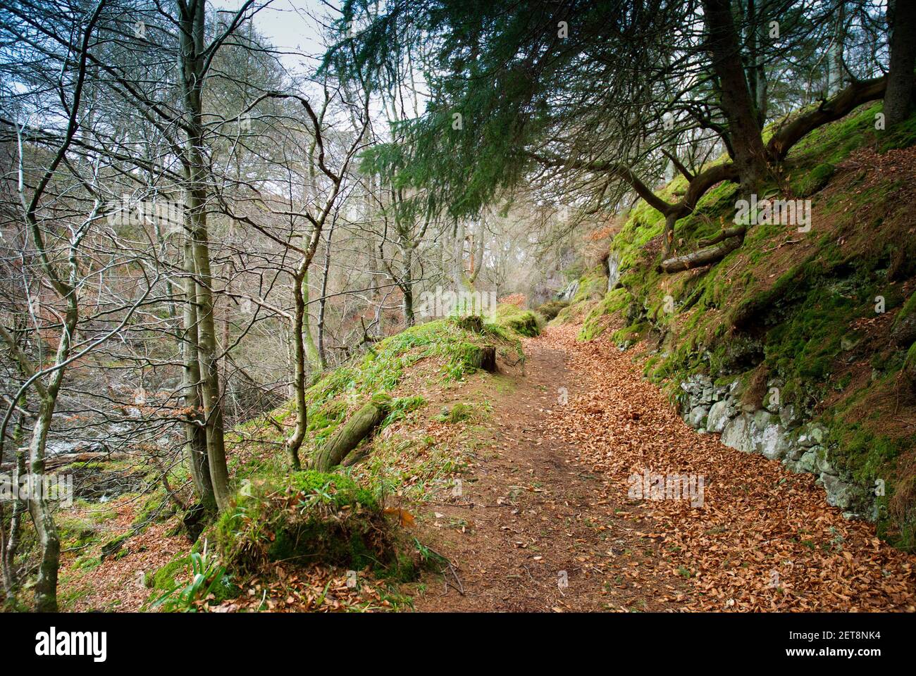 Blue door edzell scotland hi-res stock photography and images - Alamy