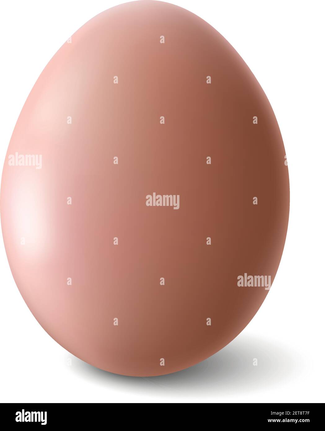 Big realistic gray chicken egg with shadow on white background - Vector ...