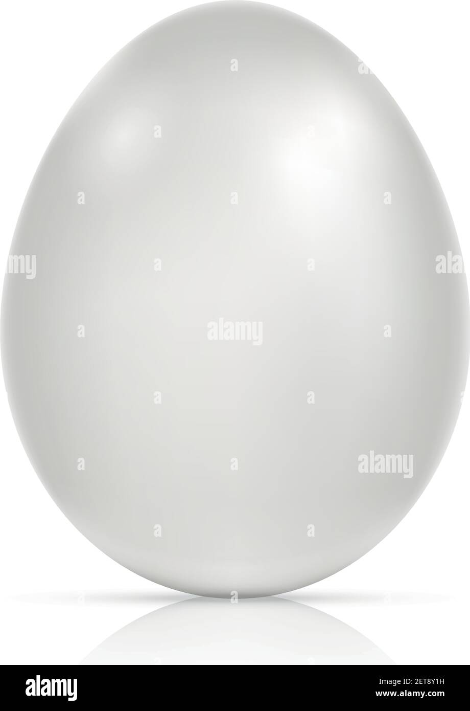 Big realistic white chicken egg with shadow on white background ...