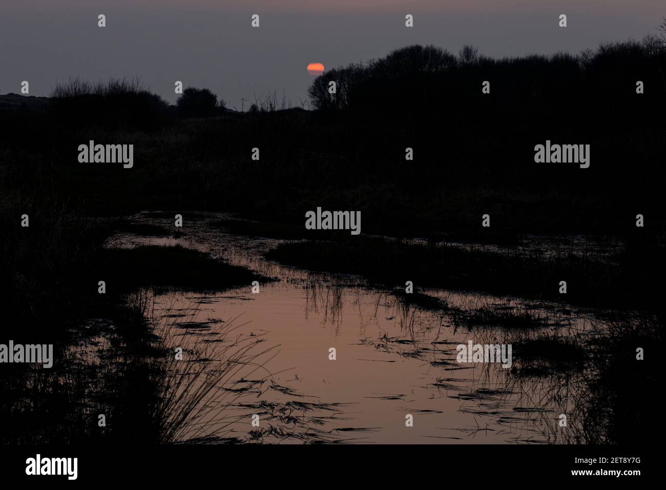 Kenfig pool national nature reserve hi-res stock photography and images ...