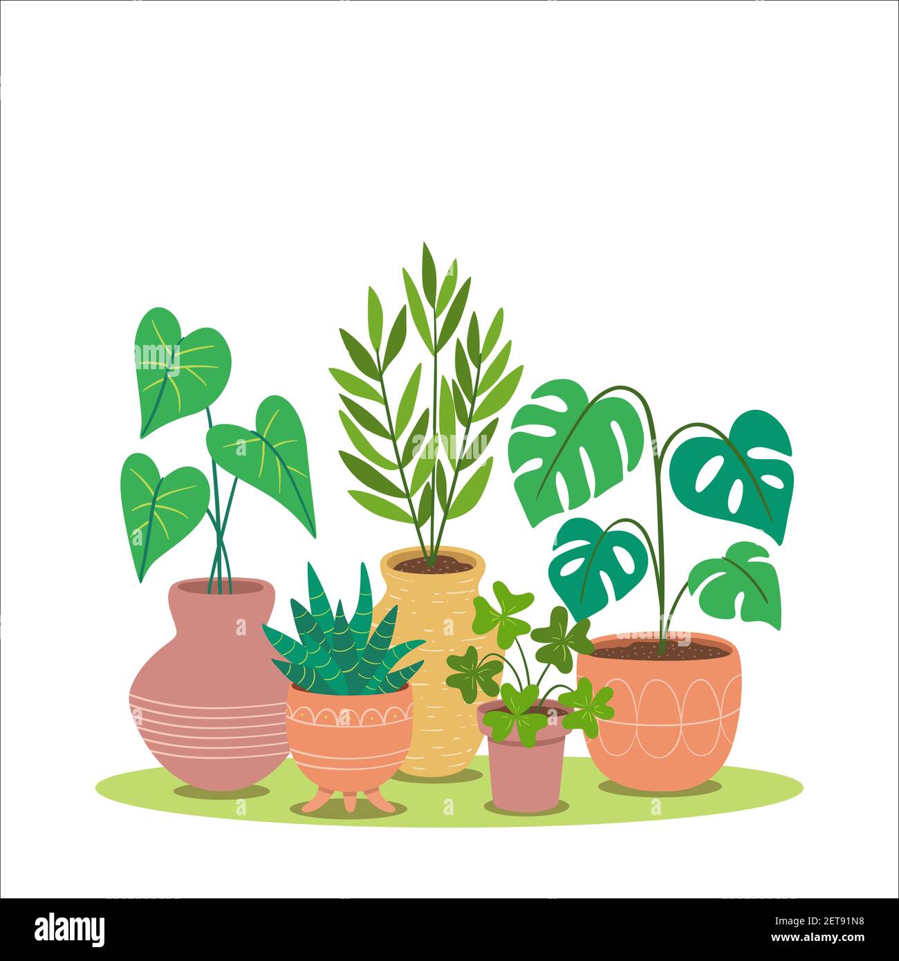 Decorative Houseplants Growing In Pot Vector Illustration Isolated On